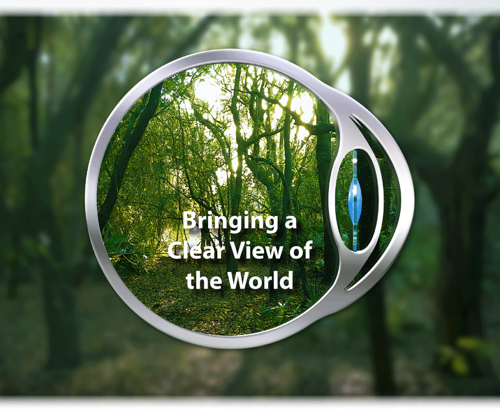 SOFTEC-I – Optimus Entrepot